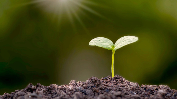 宿は、生きている。 – 手をかけたぶん、人が集まる。｜ゆき106｜coconalaブログ